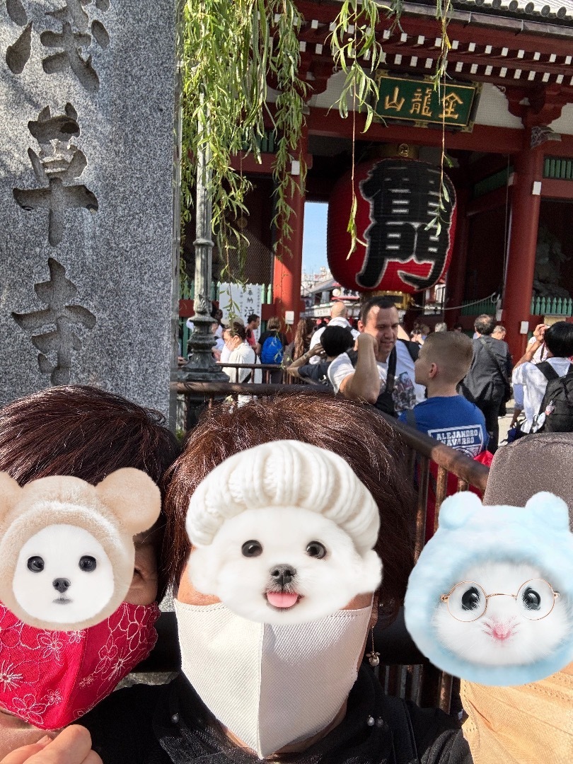 日常生活に戻った: ゴキゲンかこnoきまぐれ日記ちょっとそこまで